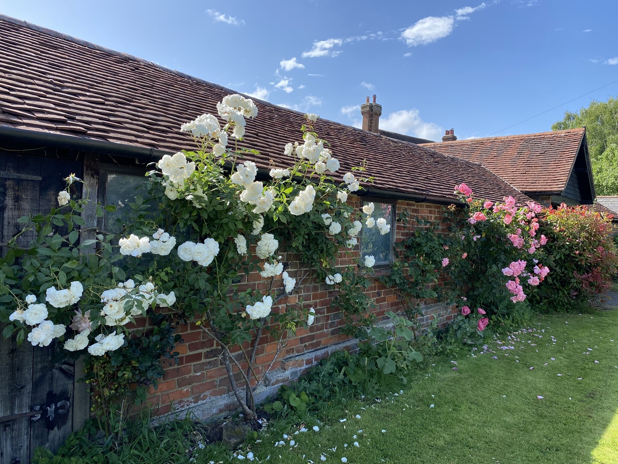 Fordcombe | Open Gardens | Events | Hospice in the Weald