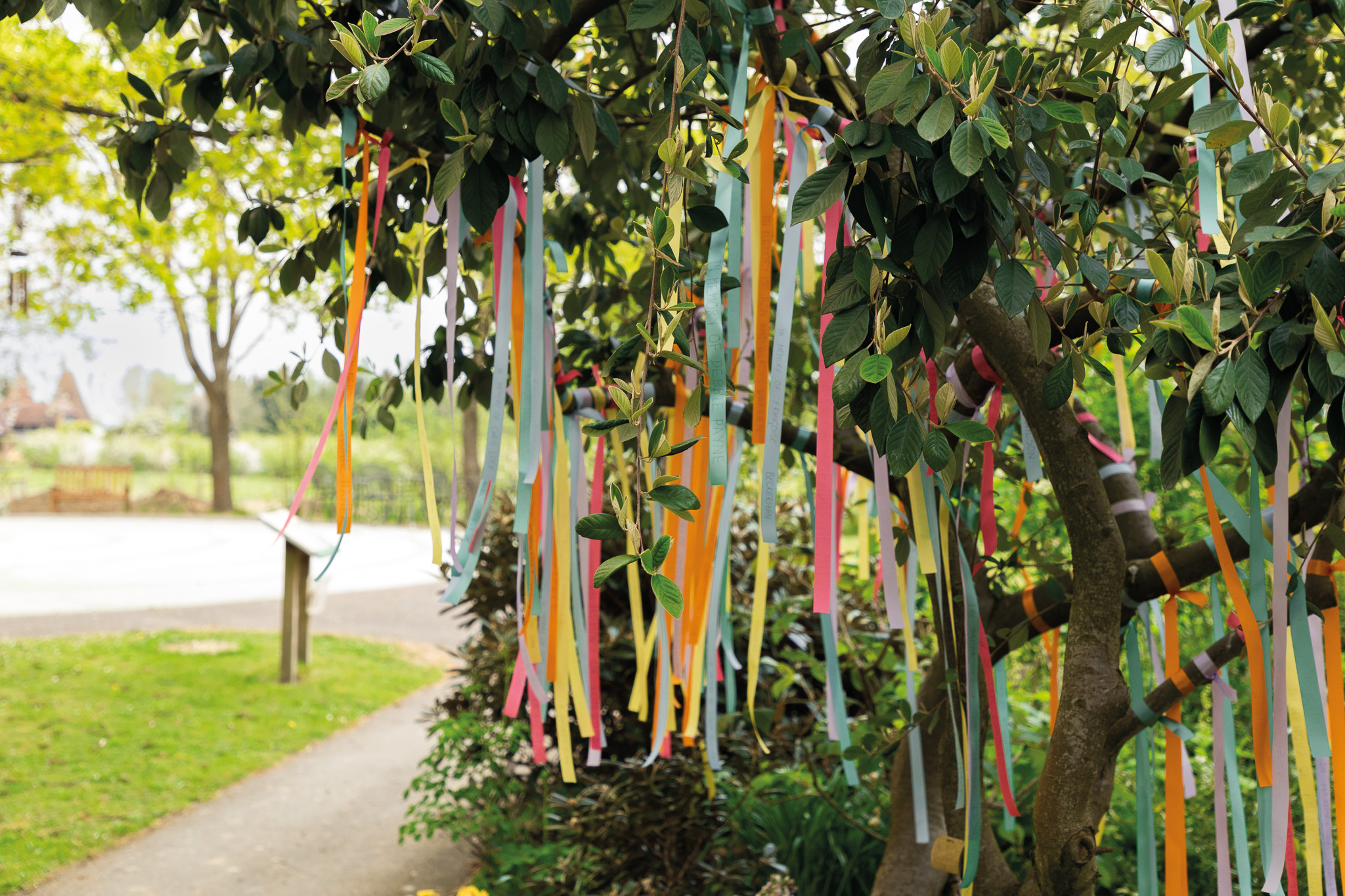 Remembrance Gathering | Remembrance Ribbons | Remember Someone Special ...
