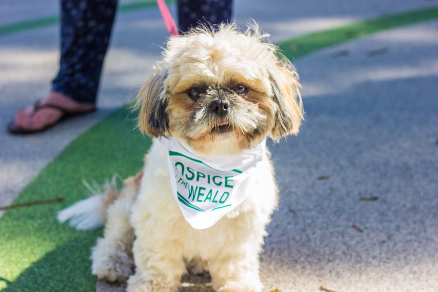 Join our Team | Hospice in the Weald | Kent | East Sussex